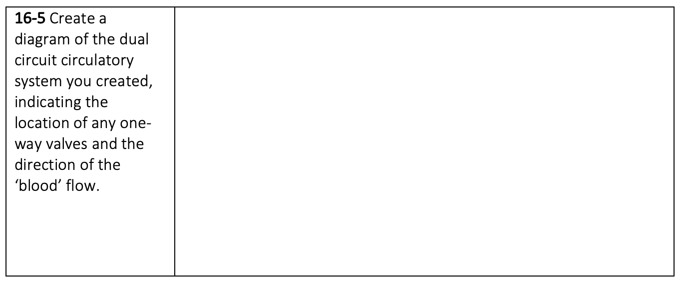 Solved 16-5 Create a diagram of the dual circuit circulatory | Chegg.com