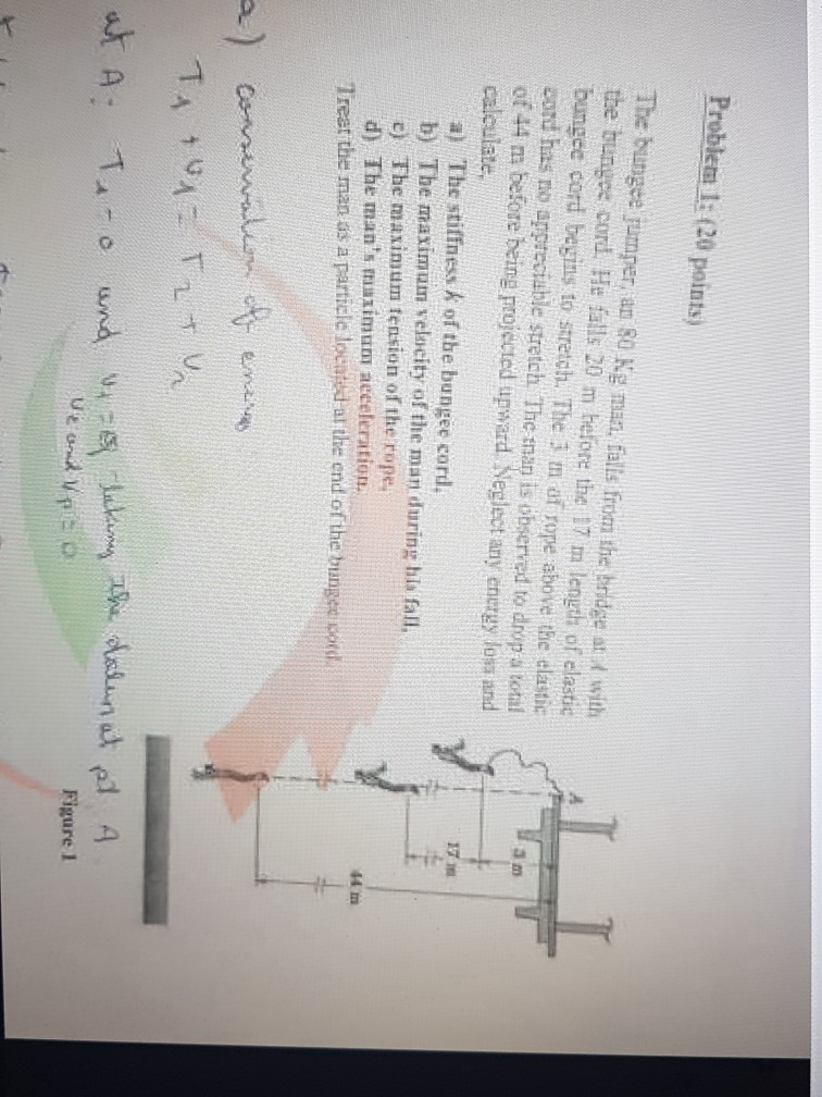 Solved Problem 1: (20 points) The bungee jumper, an 80 Kg | Chegg.com