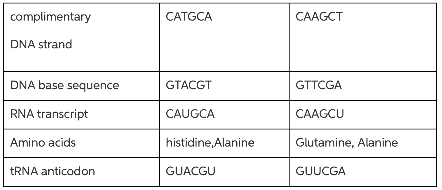 Solved complimentary CATGCA CAAGCT DNA strand DNA base | Chegg.com