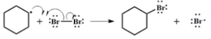 Solved What step in the radical mechanism for halogenation | Chegg.com