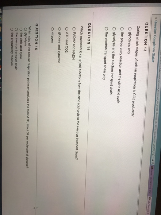 Solved Question Completion Status: QUESTION In the absence | Chegg.com