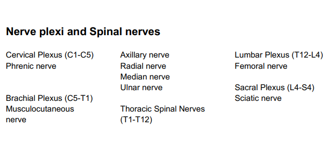 Solved Nerve plexi and Spinal nerves Cervical Plexus | Chegg.com