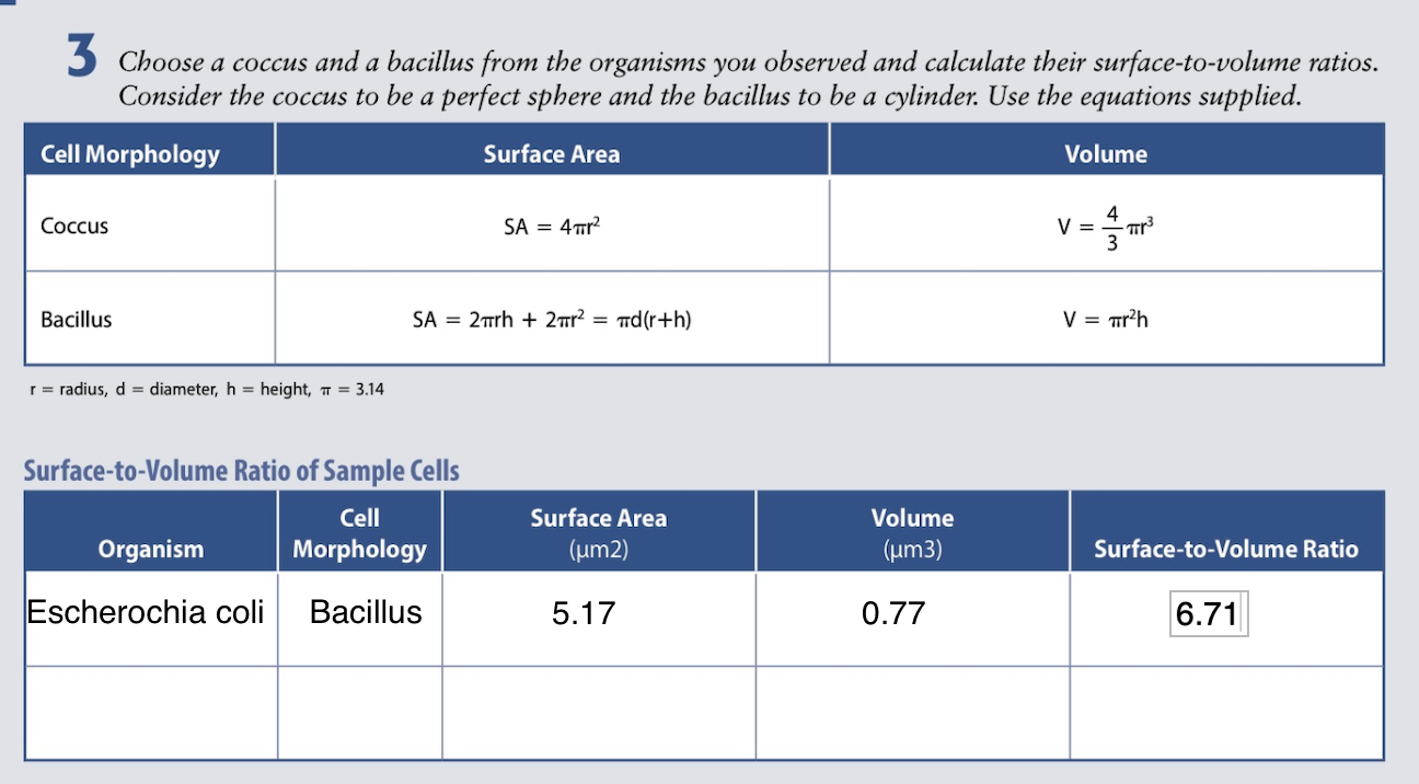 Solved 3 Choose a coccus and a bacillus from the organisms | Chegg.com