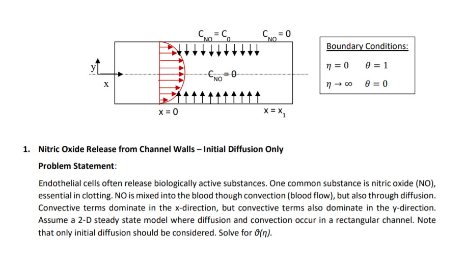 Solved Nitric Oxide Release from Channel Walls – Initial | Chegg.com