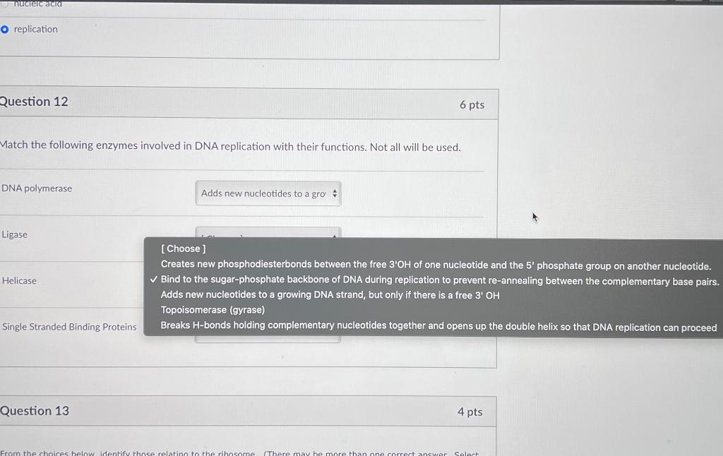 Solved Match the following enzymes involved in DNA | Chegg.com