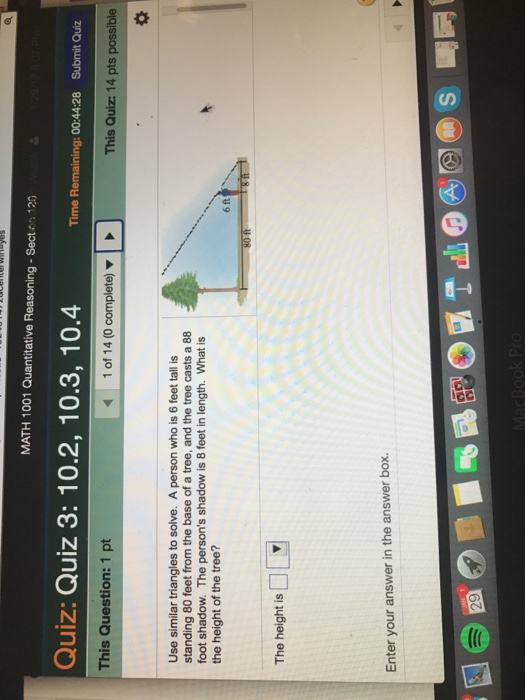 Solved Use similar triangles to solve. A person who is 6 | Chegg.com