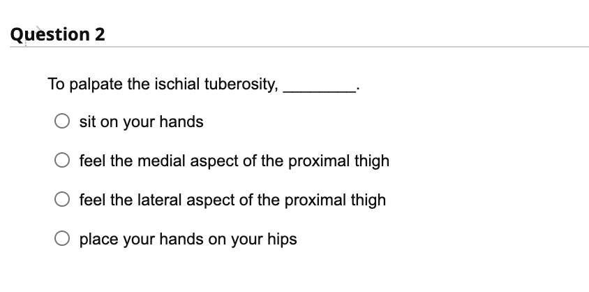 Solved Question 2 To palpate the ischial tuberosity, sit on | Chegg.com
