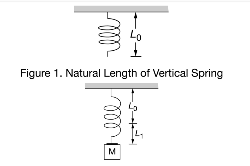 Solved 000 Lo Figure 1. Natural Length of Vertical Spring Lo | Chegg.com