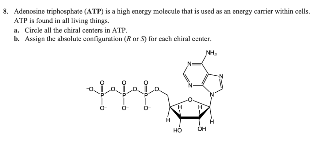 Solved 8. Adenosine triphosphate (ATP) is a high energy | Chegg.com
