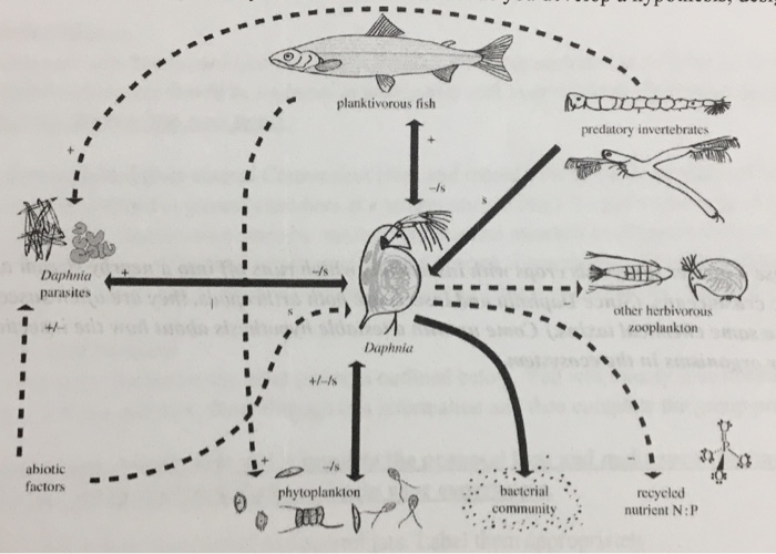 Solved From this Figure, can you come up with more examples | Chegg.com