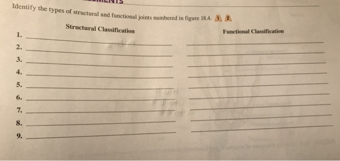 Solved Identify The Types Of Structural And Functional