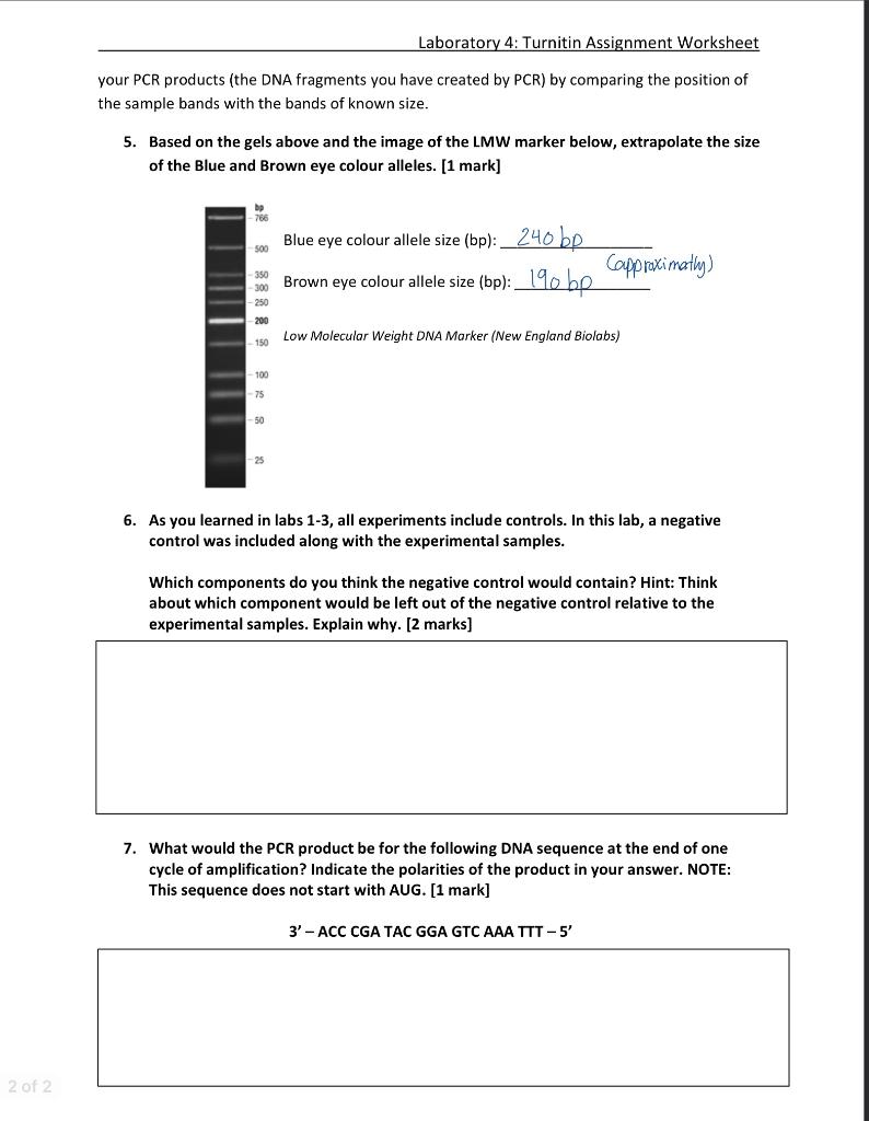 Solved Laboratory 4: Turnitin Assignment Worksheet your PCR | Chegg.com