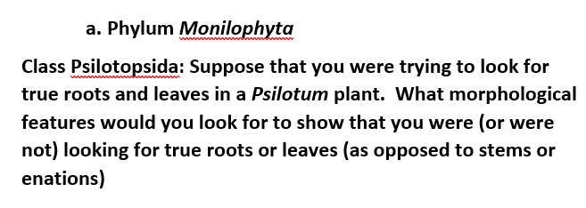Solved a. Phylum Monilophyta Class Psilotopsida: Suppose | Chegg.com