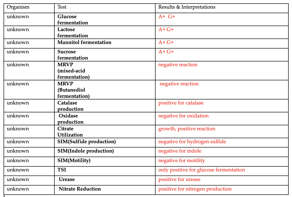 Help me complete a dichotomous key to identify my | Chegg.com