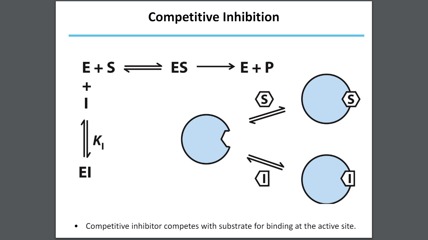 Solved Competitive InhibitionCompetitive inhibitor competes | Chegg.com