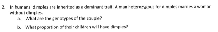Solved In humans, dimples are inherited as a dominant trait. | Chegg.com
