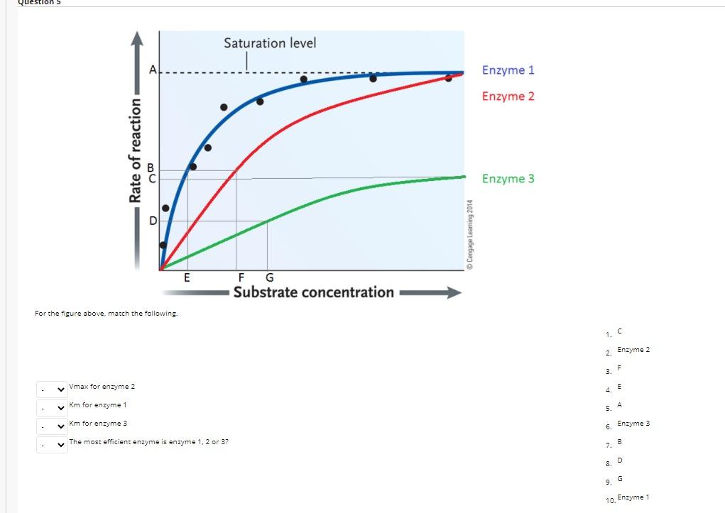 Saturation level Enzyme 1 Enzyme 2 Rate of reaction | Chegg.com