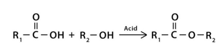Solved he given reaction scheme is an example of which type | Chegg.com