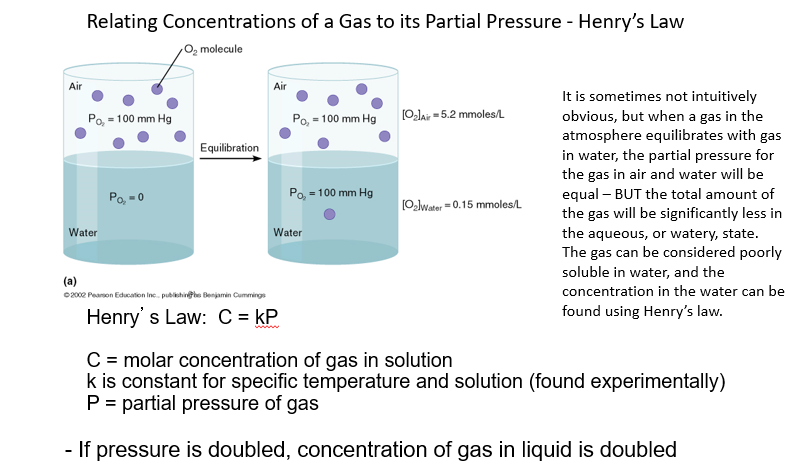 Solved Imagine an experiment that begins with a beaker | Chegg.com