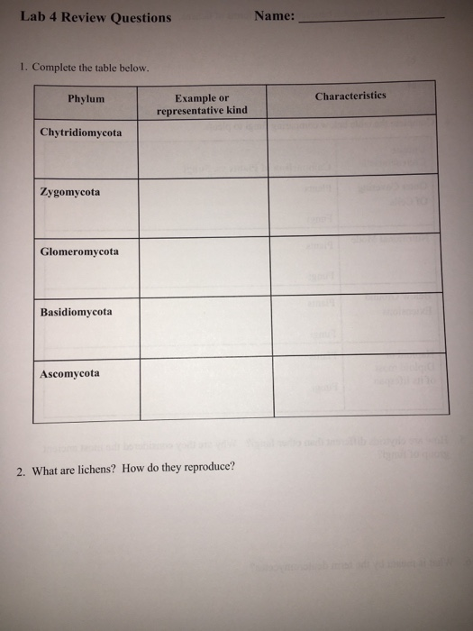 Solved Lab 4 Review Questions Name: 1. Complete the table | Chegg.com