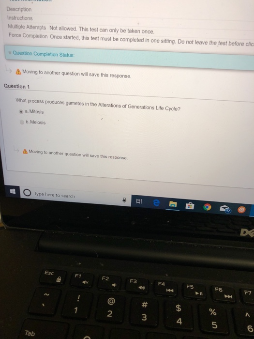 Solved Description Instructions Multiple Attempts Not | Chegg.com