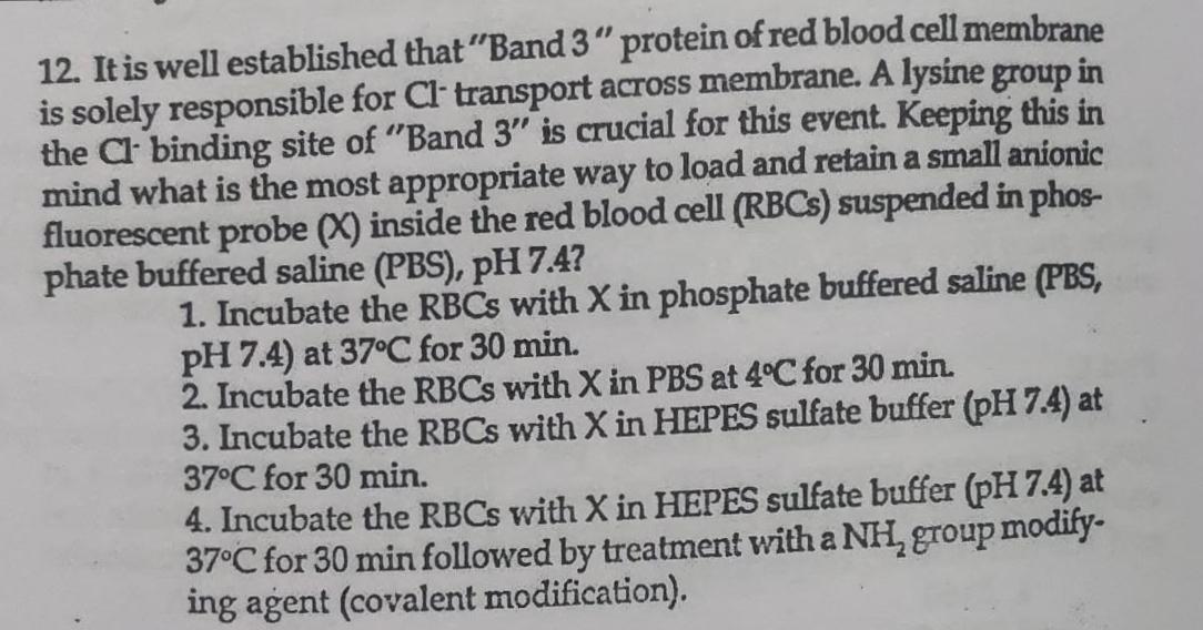 Solved 12. It is well established that "Band 3" protein of | Chegg.com
