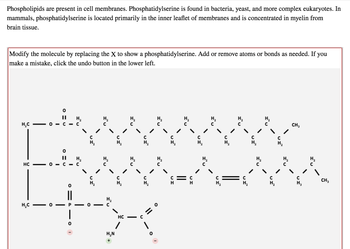 Solved Phospholipids are present in cell membranes. | Chegg.com