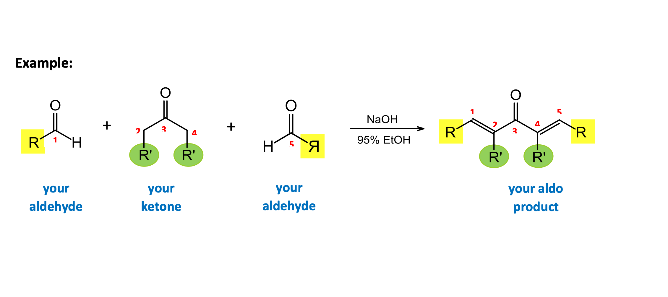 Solved Procedure In a clean 50 mL Erlenmeyer flask, add the | Chegg.com
