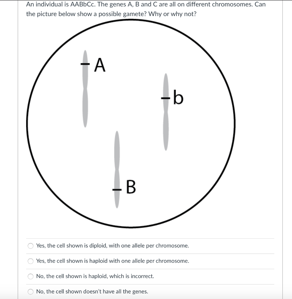 Solved An individual is AABbCc. The genes A, B and C are all | Chegg.com