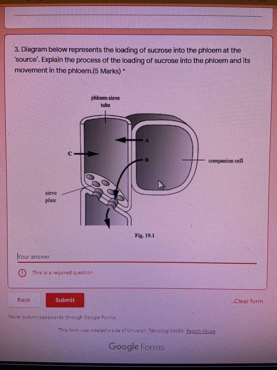 Solved 3. Diagram below represents the loading of sucrose | Chegg.com
