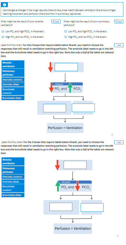 Solved Optimal gas exchange in the lungs requires there to | Chegg.com