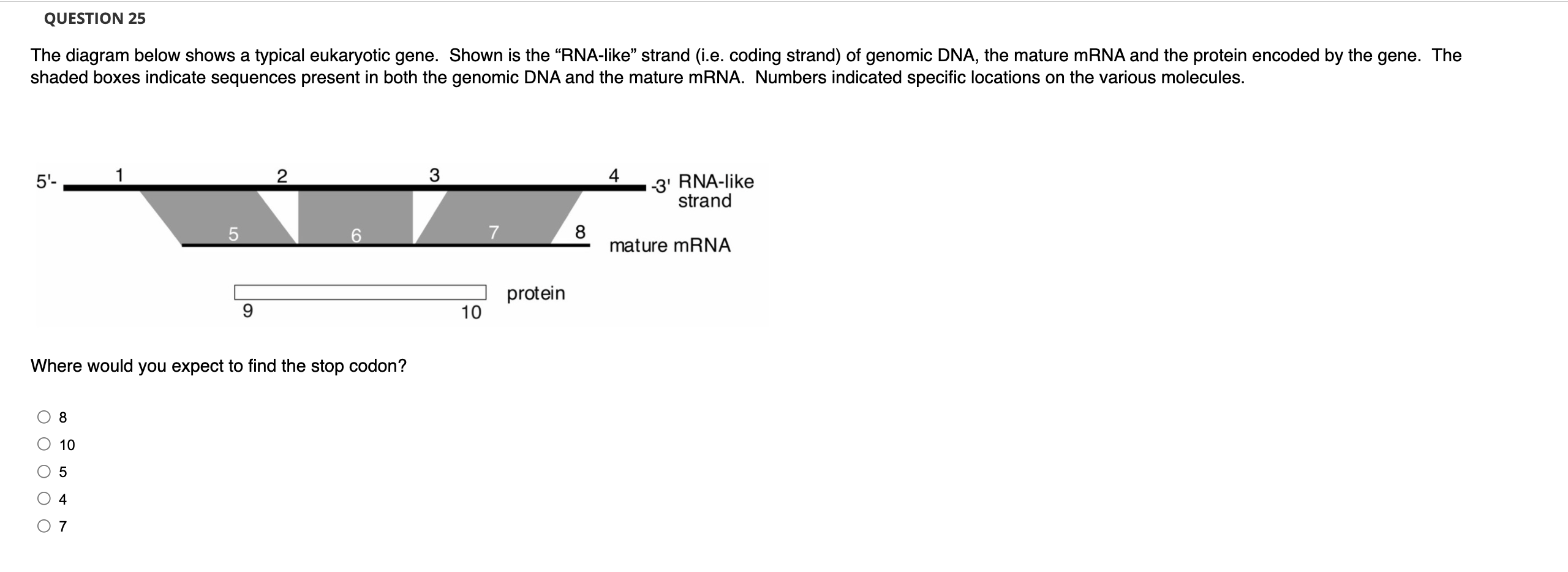 Solved QUESTION 24 Below is a protein sequence alignment of | Chegg.com