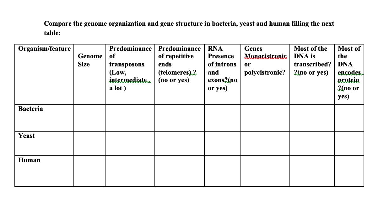 Solved Compare the genome organization and gene structure in | Chegg.com