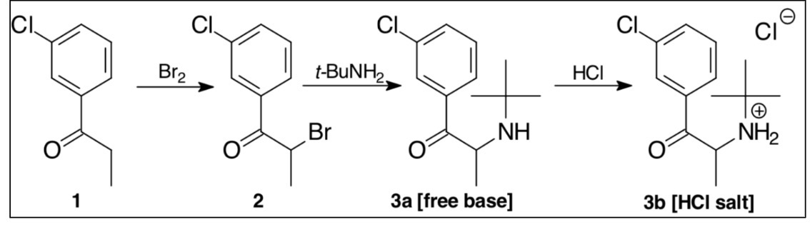 Solved 1 2 3a [free base] 3b [HCl salt] | Chegg.com