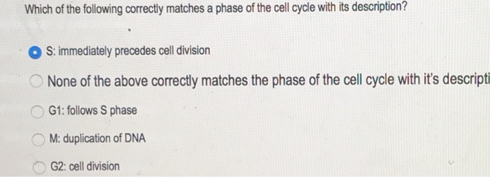 Solved Which of the following correctly matches a phase of | Chegg.com