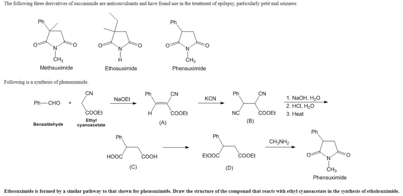 Solved The following three derivatives of succinimide are | Chegg.com