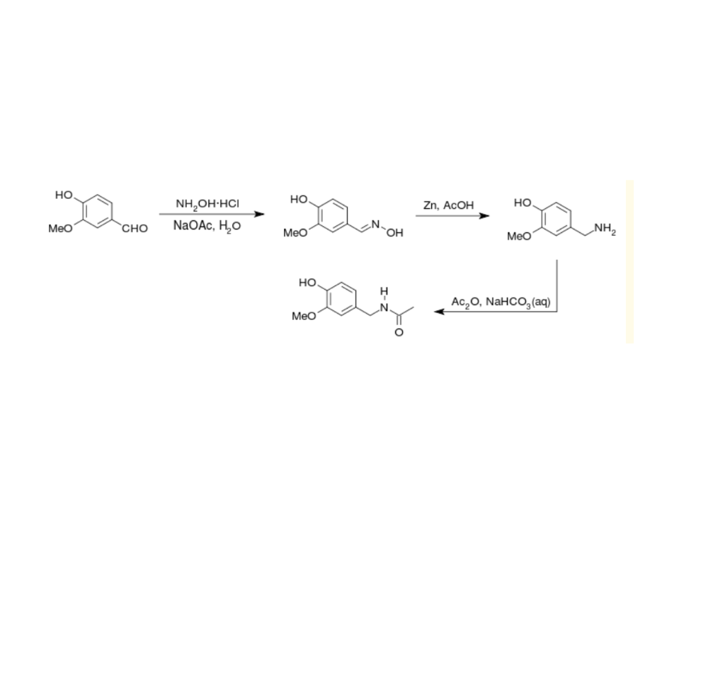 Solved explain the synthesis of capsaicin using this | Chegg.com