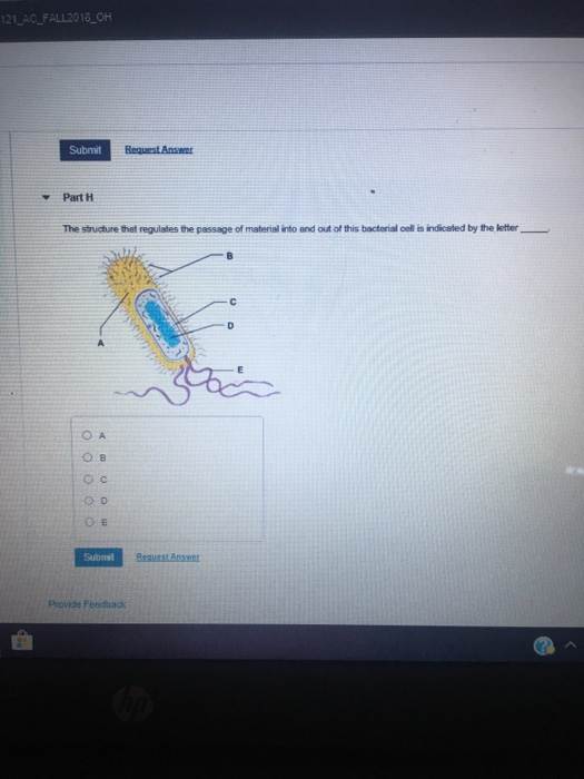 Solved PartC The DNA-containing region of this bacterial | Chegg.com Solved PartC The DNA-containing region of this bacterial | Chegg.com