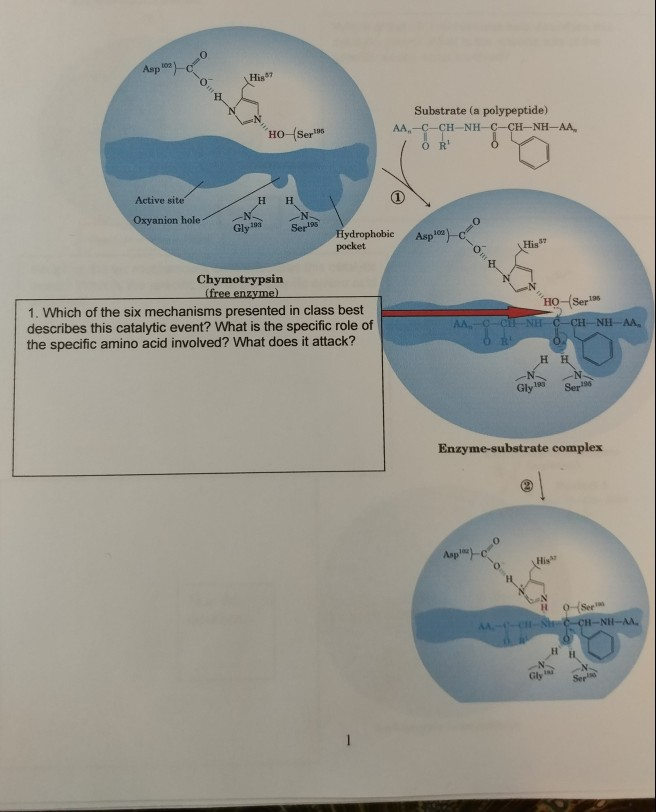 Solved which of the 5 mechanisms (proximity/orientation | Chegg.com
