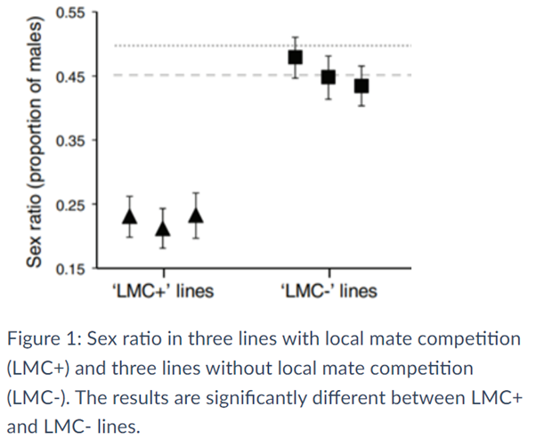 Solved Spider mite females can adjust their sex ratio by | Chegg.com