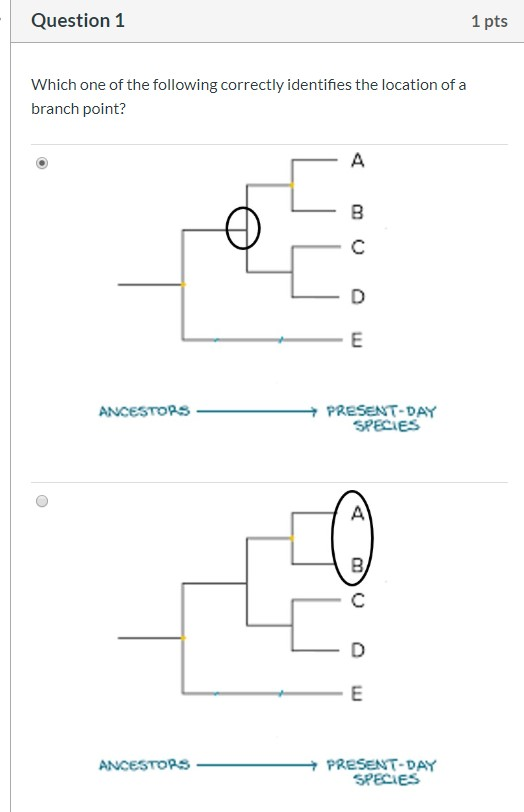 Solved Question 1 1 pts Which one of the following correctly | Chegg.com