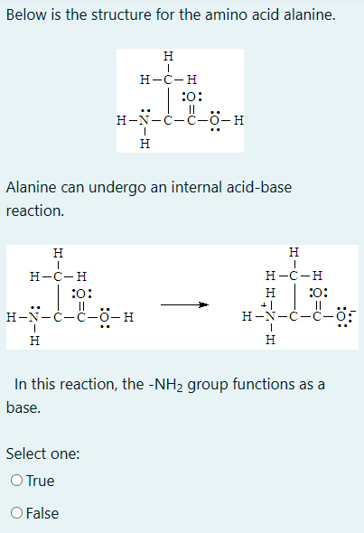 Solved Below is the structure for the amino acid alanine. | Chegg.com