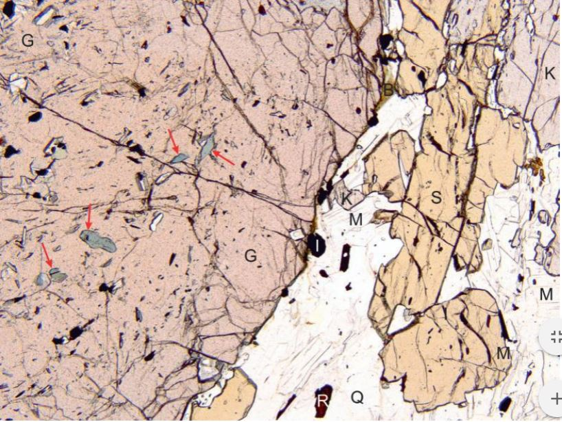 Solved Plot mineral assemblage in AFM diagram & Why? (Red | Chegg.com