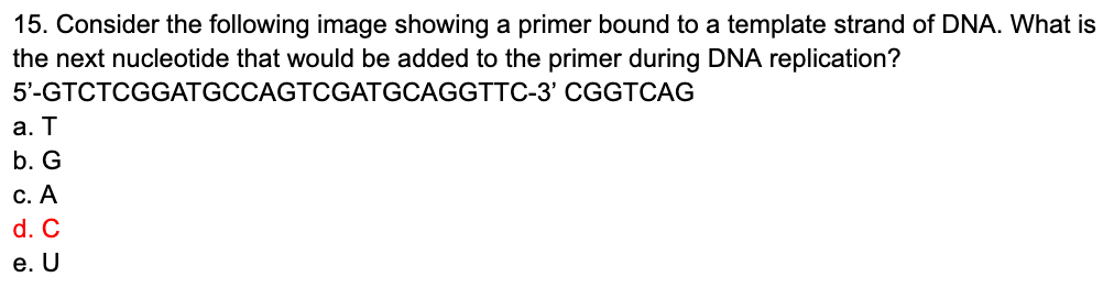 Solved Consider the following image showing a primer bound | Chegg.com