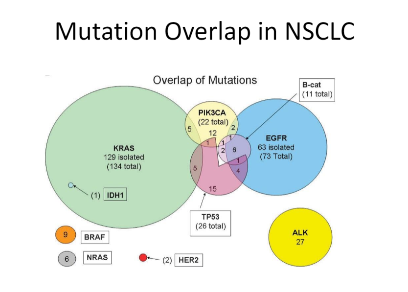 Solved Mutation Overlap in NSCLC Overlap of Mutations B-cat | Chegg.com