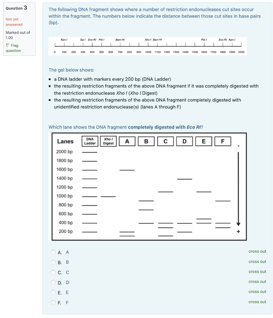 Solved The following DNA fragment shows where a number of | Chegg.com