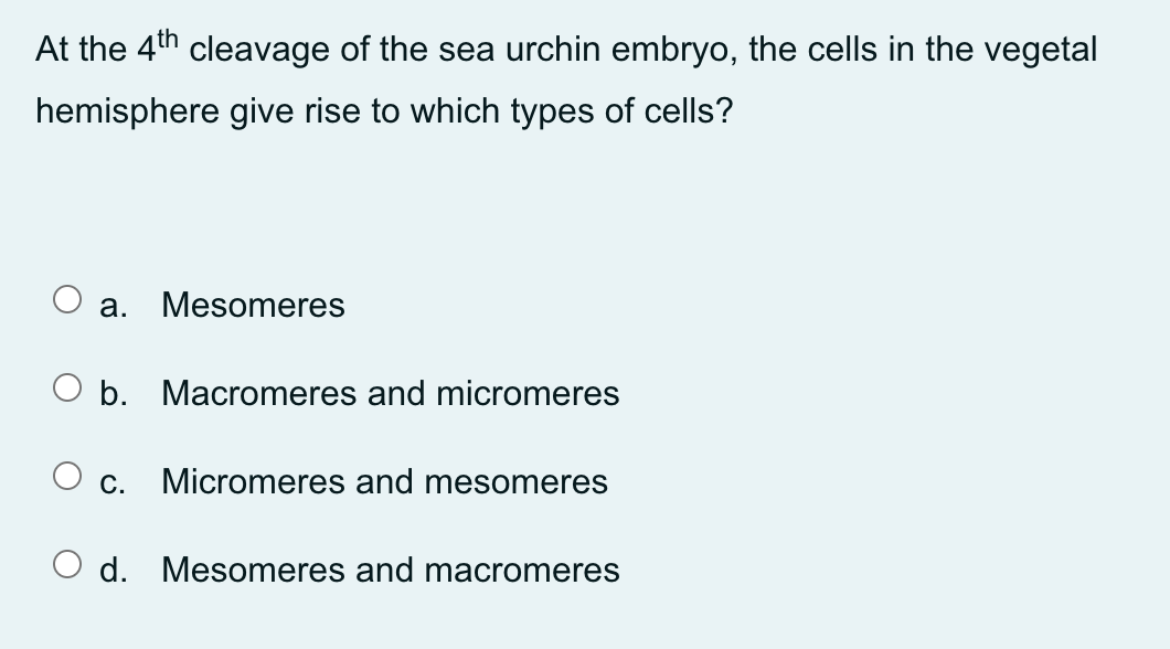 Solved At the 4th cleavage of the sea urchin embryo, the | Chegg.com