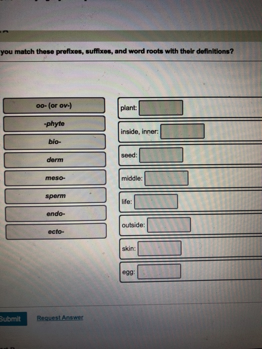 Solved you match these prefixes, suffixes, and word roots | Chegg.com