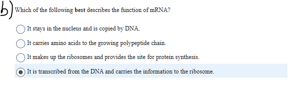 ( Using the table of codons below, which amino acid | Chegg.com
