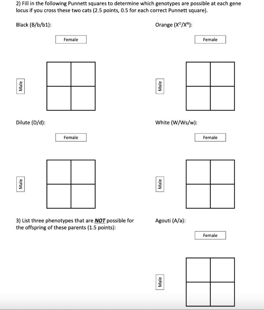 Solved 2) Fill in the following Punnett squares to determine | Chegg.com